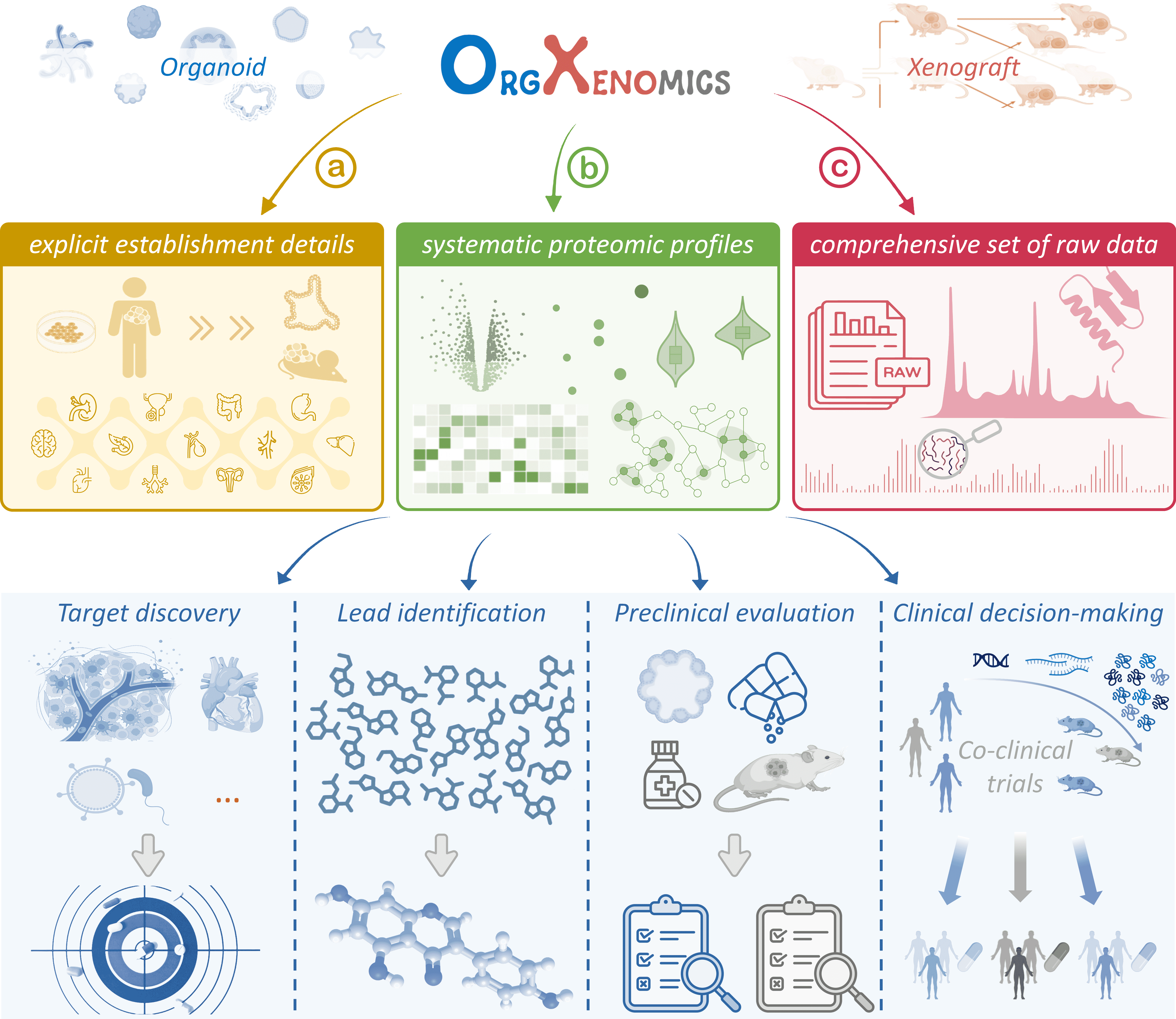 OrgXenomics: An Integrated Proteomic Knowledge Base for Patient-derived ...